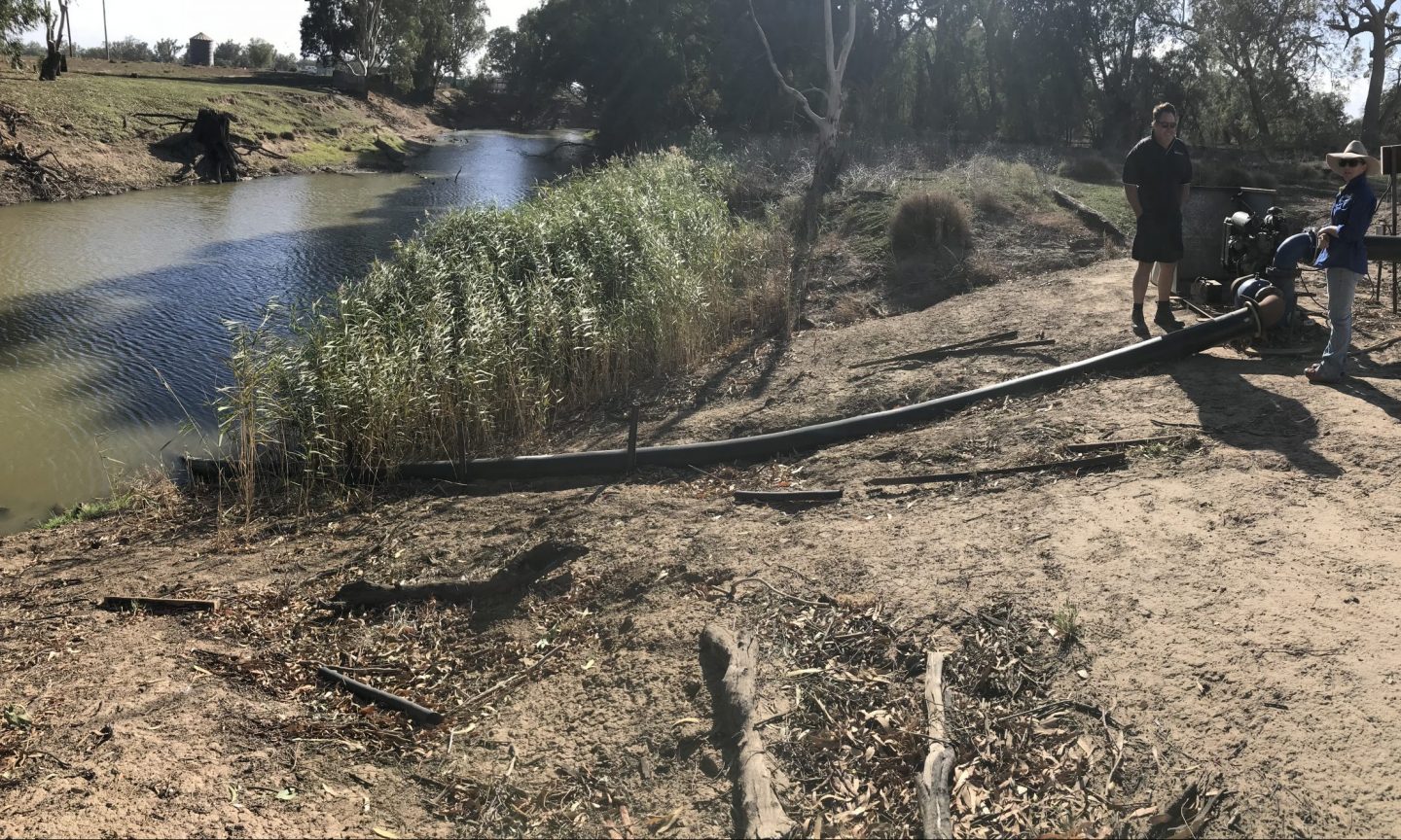 CWFS Cylinder Pump Screen Case Study - Fish Screens Australia