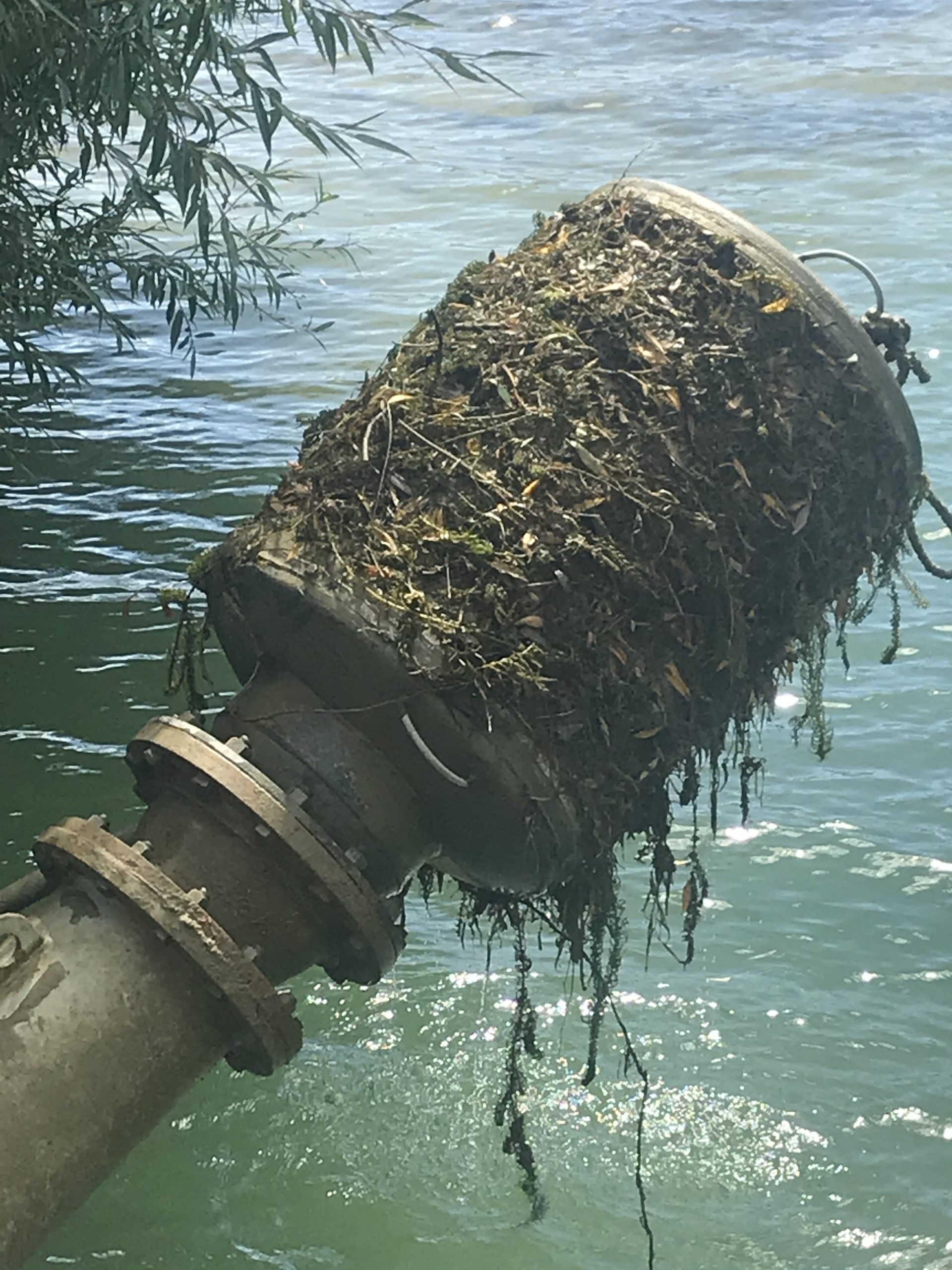 Self Cleaning Irrigation Screens - Fish Screens Australia