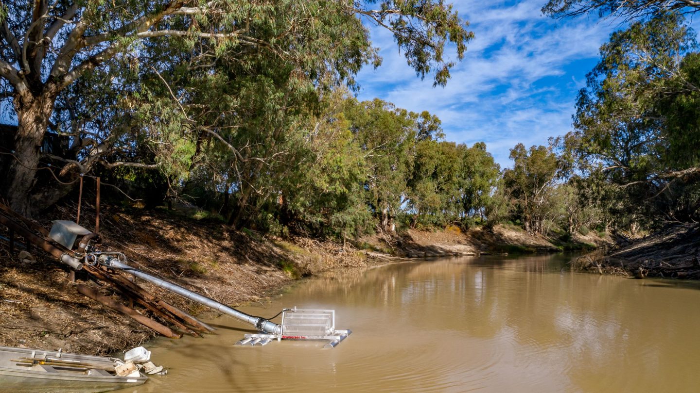 Porker Citrus River Screen Case Study - Fish Screens Australia