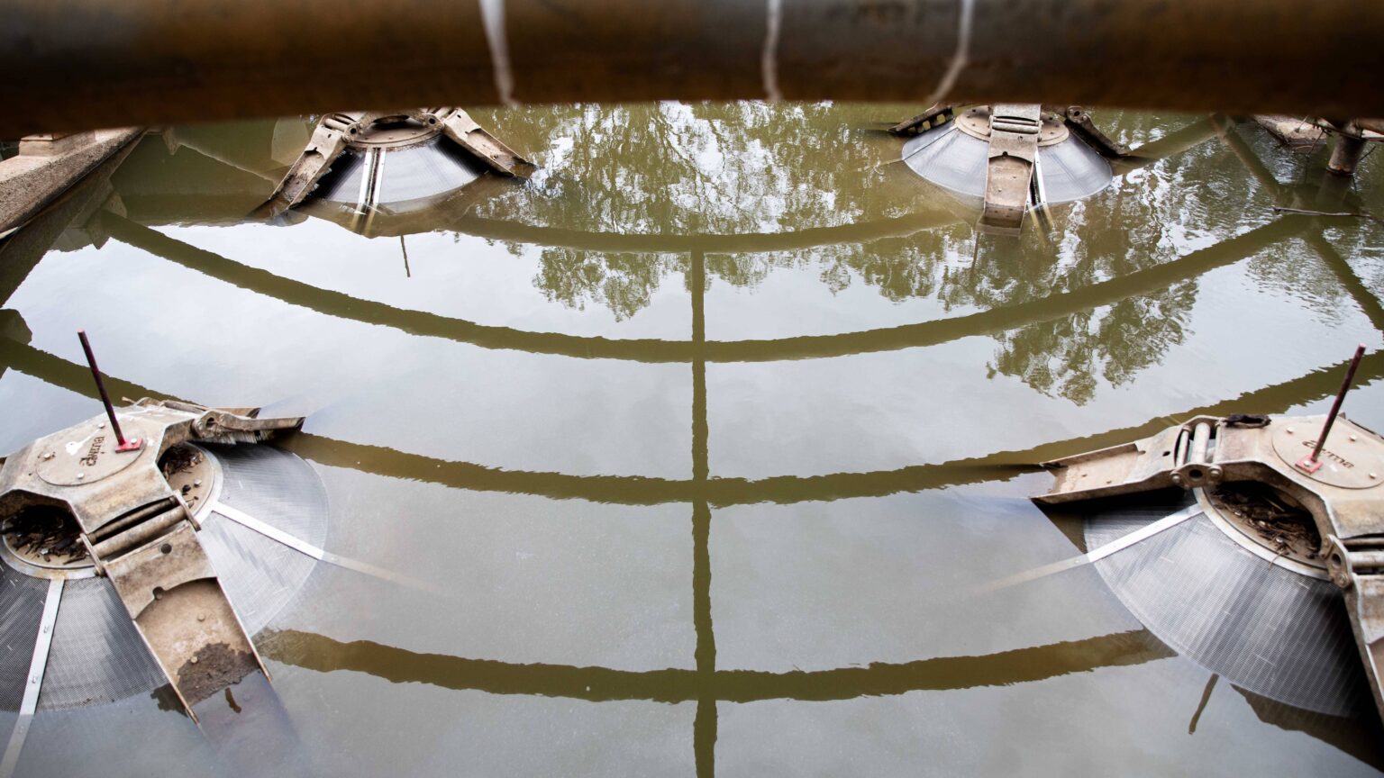 Flow-on effect of fish screens technology a win-win situation for ...