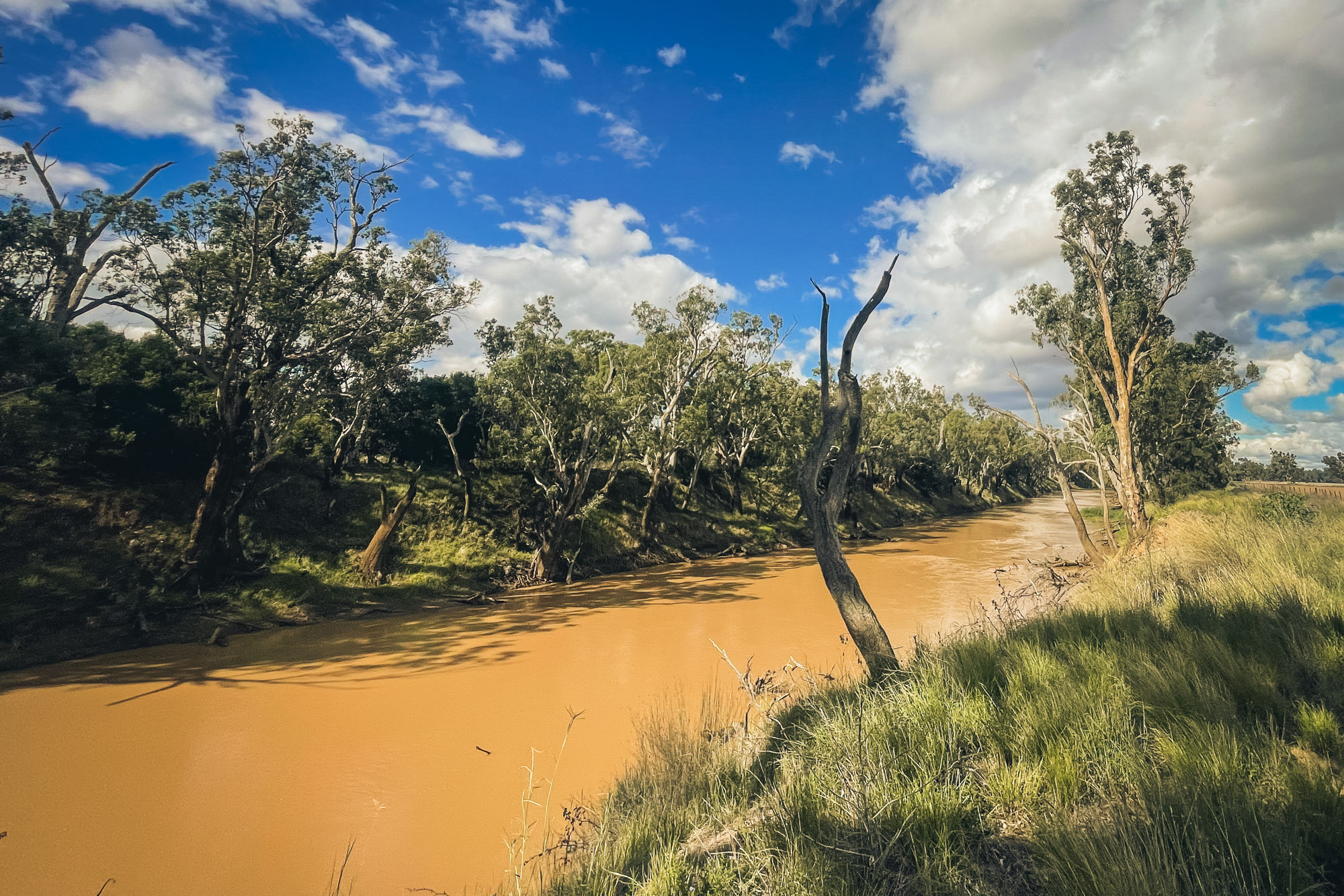 A new best practice: Tom Rayner's Vision for Fish Screening in New ...